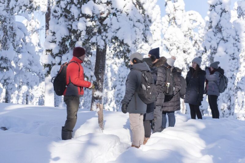 Rovaniemi: Wilderness Tour - Exploring the Itinerary in Detail