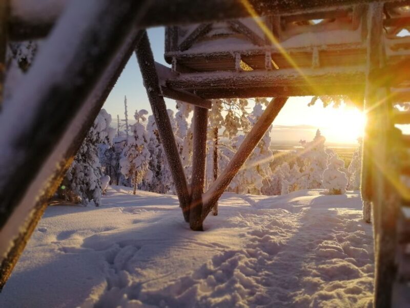 Rovaniemi: Wilderness Tour - The Experience Provider: Wild about Lapland