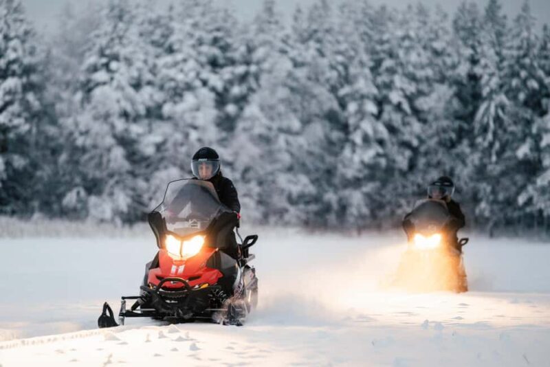Rovaniemi Winter Activities & Northern Lights! - Rovaniemi Winter Activities & Northern Lights: An Honest Look