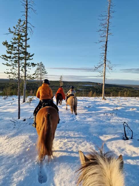 Rovaniemi: Winter Horseback Ride on Snowy Hills and Forests - What Makes This Horseback Ride Special?