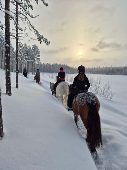 Rovaniemi: Winter Horseback Ride on Snowy Hills and Forests - Itinerary Breakdown: What to Expect