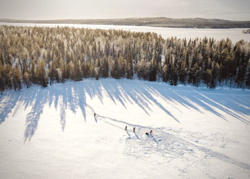Rovaniemi: Winter Wilderness Snowshoeing Trip - Rovaniemi: Winter Wilderness Snowshoeing Trip