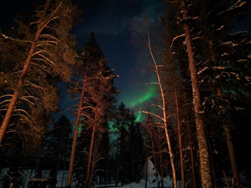 Rovaniemi:Santa Claus Village Guided Tour with Santa's gift - Key Points