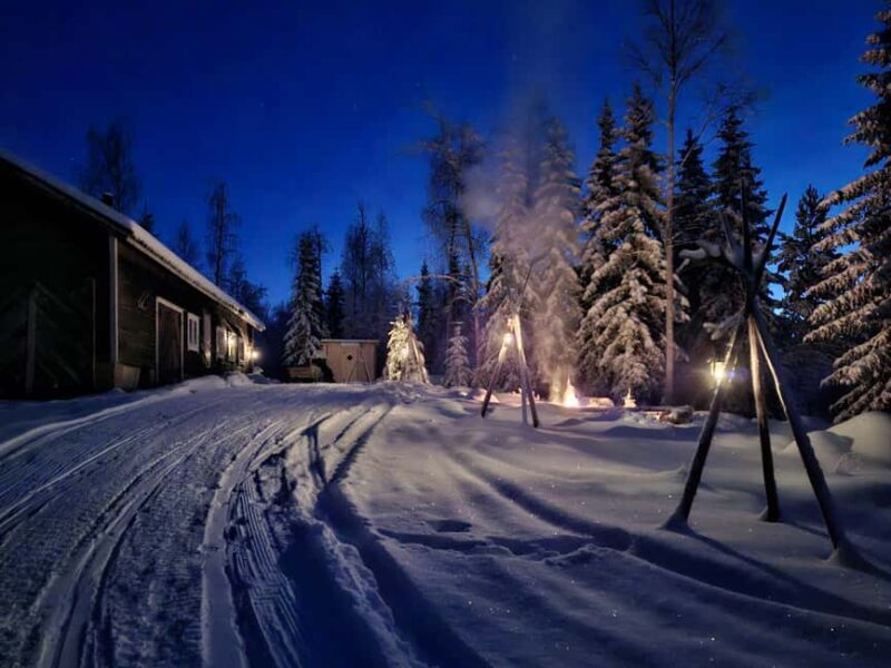 Rovaniemi:Self-drive Husky safari with a Reindeer Farm visit - Key Points