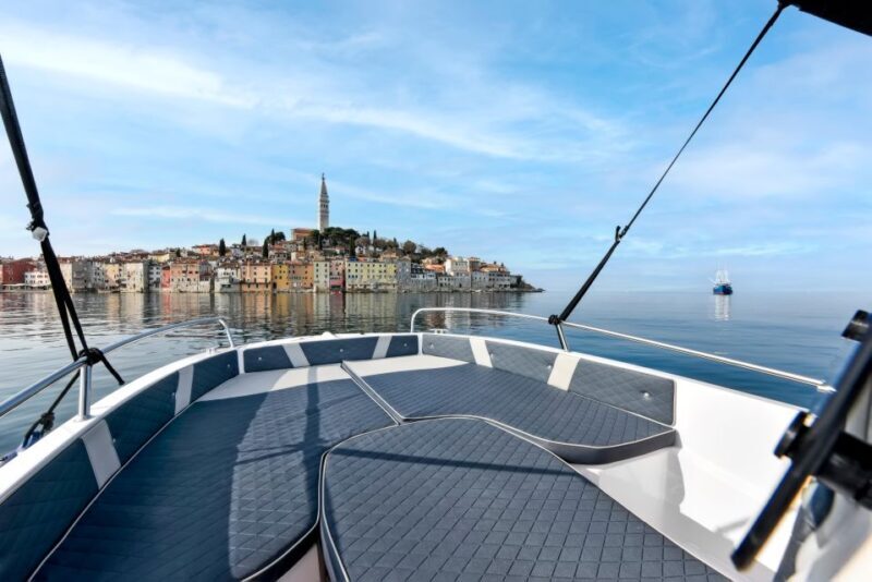 Rovinj: Dolphin Watching Sunset Speedboat Tour with Drinks - FAQ