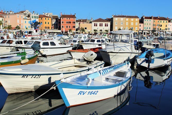 Rovinj private biking tour by electric powered bike - Pricing and Value Analysis