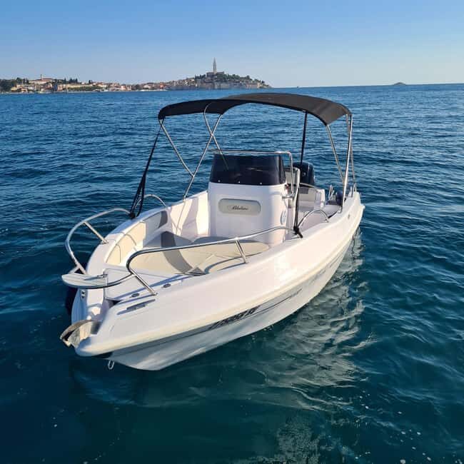 Rovinj: Shared Dolphin and Sunset Tour with Drinks - Final Thoughts