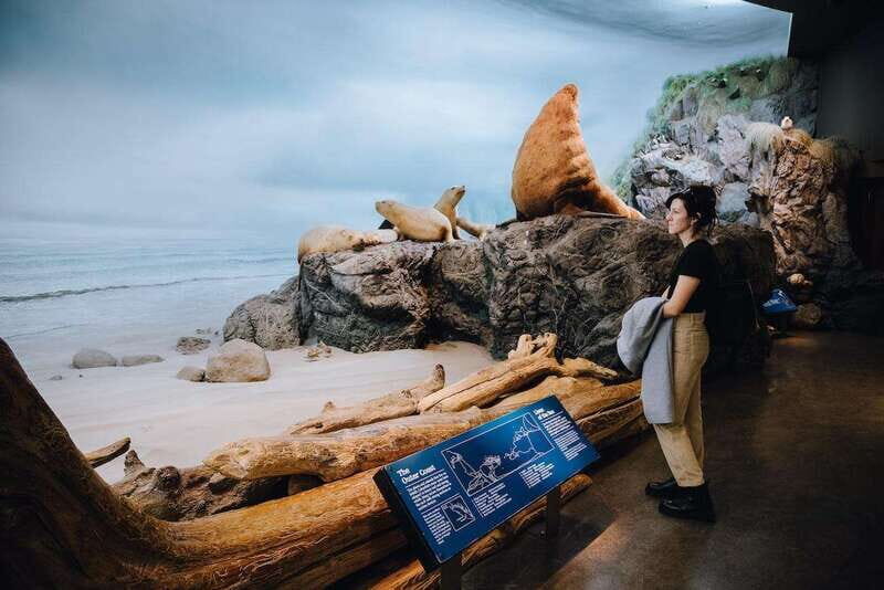 Royal B.C. Museum in Victoria: Full-Day Admission Ticket - Breaking Down the Price and Value