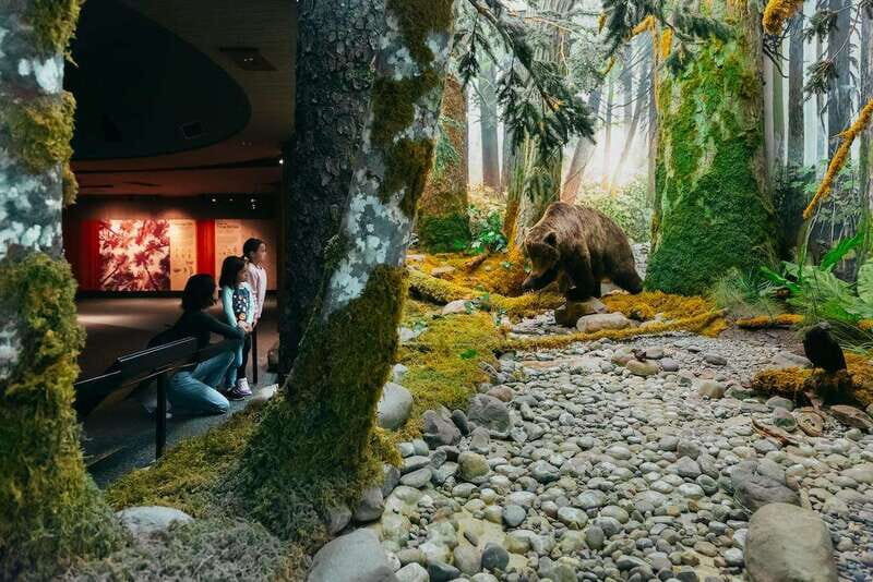 Royal B.C. Museum in Victoria: Full-Day Admission Ticket - Who Should Visit the Royal BC Museum?
