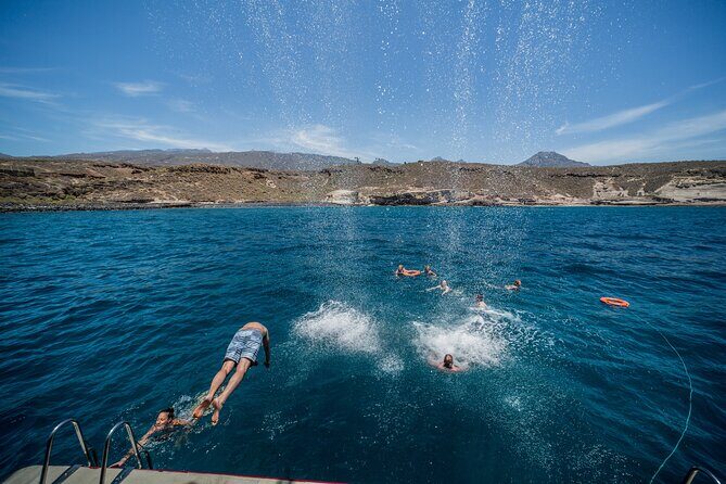 Royal Delfin 3H Dolphin & Whale Watching! Swimming & Lunch! - The Sum Up: Is This Tour Worth It?