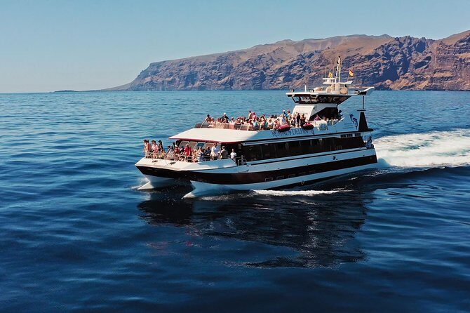 Royal Delfin - 4'5H Dolphin & Whale Watching - Los Gigantes Masca - Lunch & Swim - What the Reviews Say: Authentic Perspectives