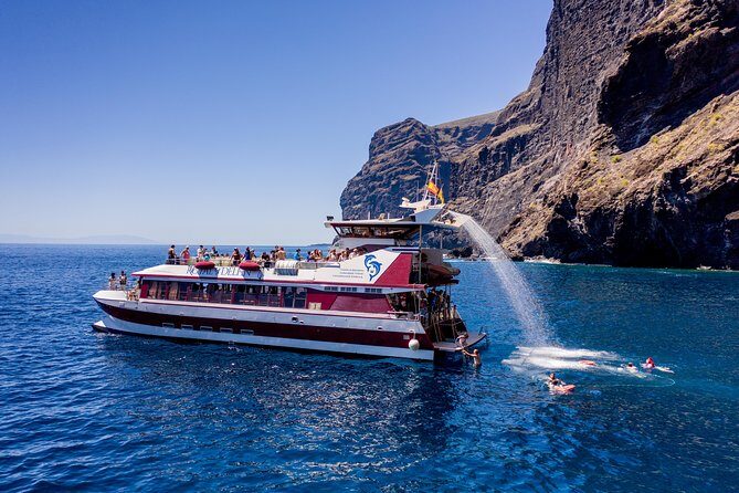 Royal Delfin - 4'5H Dolphin & Whale Watching - Los Gigantes Masca - Lunch & Swim - Final Thoughts