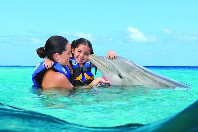 Royal Garragon with Dolphin Encounter in Isla Mujeres - What to Expect from the Tour