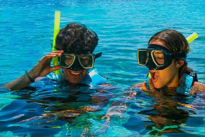 Royal Garragon with Dolphin Encounter in Isla Mujeres - Who Is This Tour Best For?