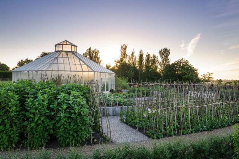 Royal Horticultural Society: Hyde Hall Garden Ticket - Introduction
