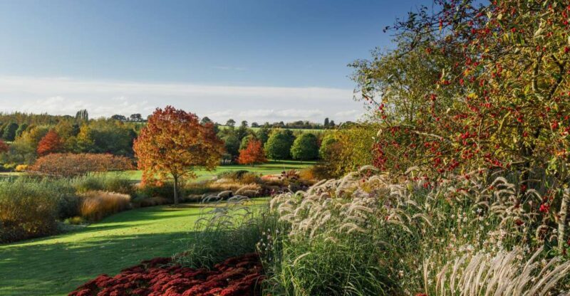 Royal Horticultural Society: Hyde Hall Garden Ticket - What to Expect During Your Visit