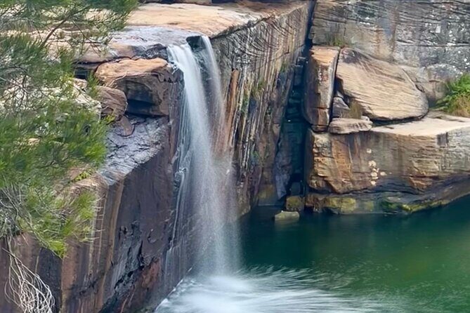 Royal National Park Hike, Swim and Wildlife Tour - Exploring the Royal National Park Hike, Swim and Wildlife Tour: A Genuine Look