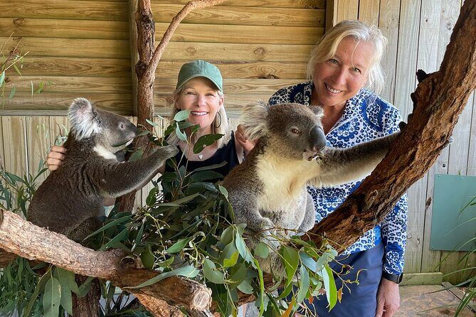 Royal National Park Hike, Swim and Wildlife Tour - An In-Depth Look at the Royal National Park Hike, Swim and Wildlife Tour