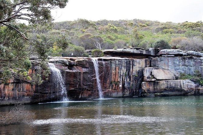 Royal National Park Private Tour - Exploring the Royal National Park Private Tour