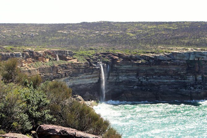 Royal National Park Private Tour - Wattamolla Lagoon and Waterfall