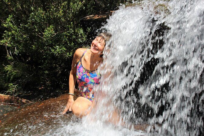 Royal National Park Private Tour - Symbio Wildlife Park: Close Encounters with Australian Wildlife