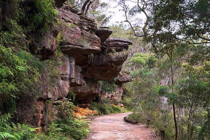 Royal National Park Private Tour & with Pick and Drop Off - Transportation and Duration