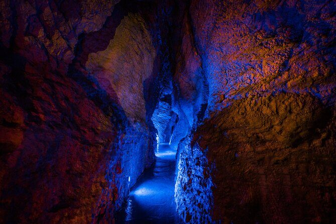 Ruakuri Cave and Hamilton Gardens Private Day Tour from Auckland - Why This Tour Is Worth Considering