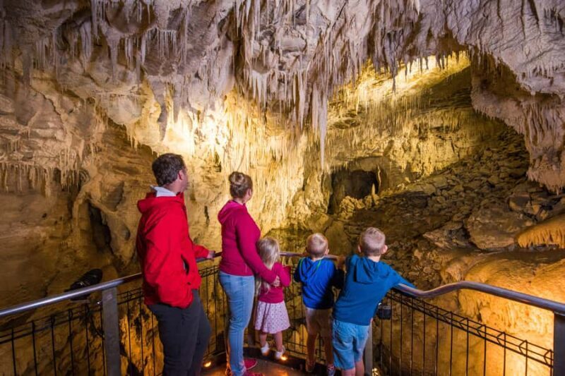 RUAKURI CAVE & HAMILTON GARDENS-PRIVATE TOUR FROM AUCKLAND - Māori Cultural Insights and History