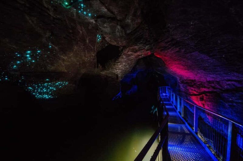 RUAKURI CAVE & HAMILTON GARDENS-PRIVATE TOUR FROM AUCKLAND - The Waitomo Experience: Caves and Glowworms