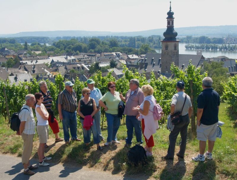 Rüdesheim am Rhein: city tour - Who Is This Tour Ideal For?