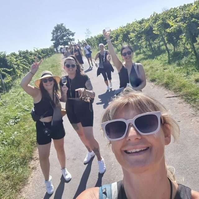 Rüdesheim am Rhein: wine hike and sights - A Detailed Look at the Rüdesheim Wine Hike and Sights Tour