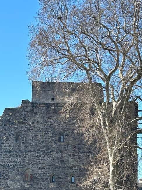 Rüdesheim: City tour with music, wine, and Rüdesheim coffee - Who Will Love This Tour?