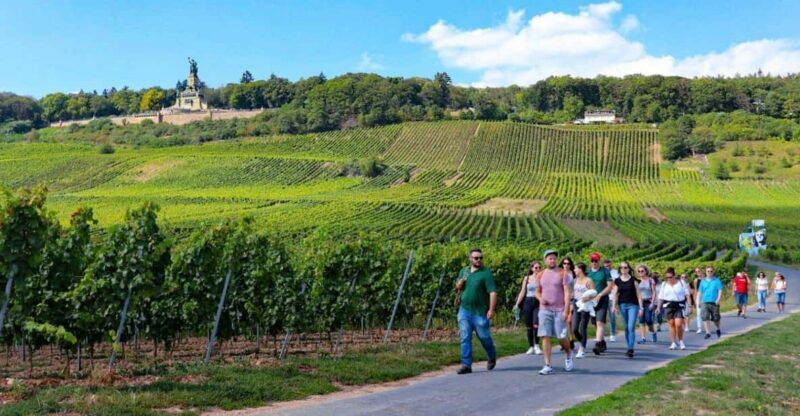 Rüdesheim - Guided wine hikes with 4wines and cable car ride - Who Should Consider This Tour?