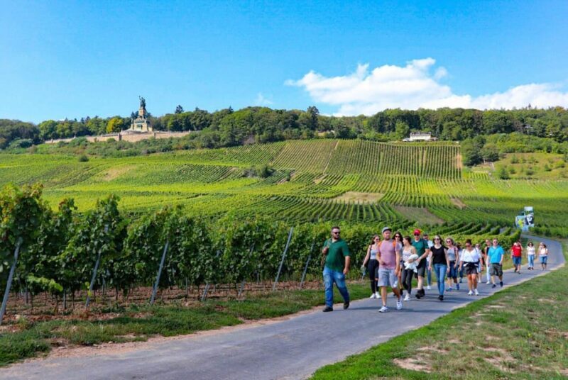 Rüdesheim - Guided wine hikes with 4wines and cable car ride - Final Thoughts
