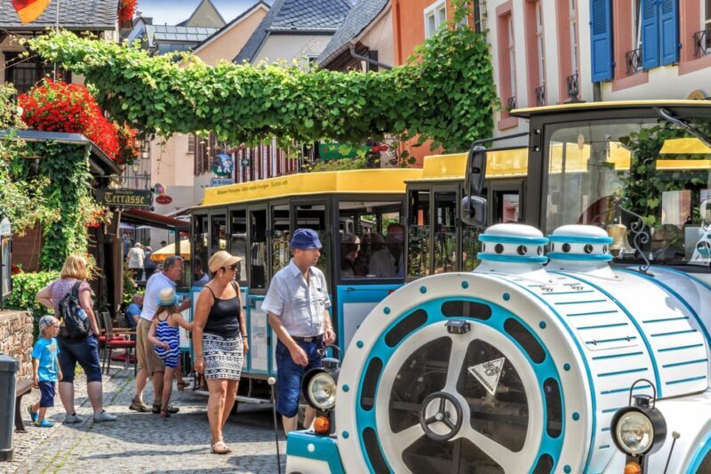 Rüdesheim sightseeing tour with the Winzerexpress - Who Would Love This Tour?