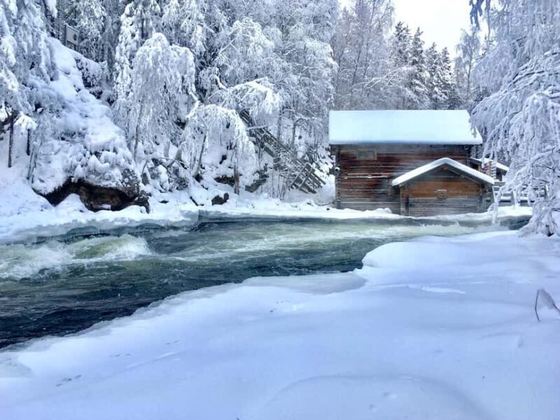 Ruka: Oulanka National Park Snowshoeing Tour - Key Points