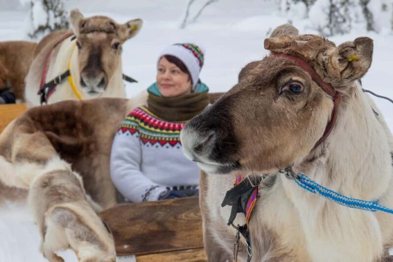 Ruka: Reindeer Ride with Feeding - Key Points