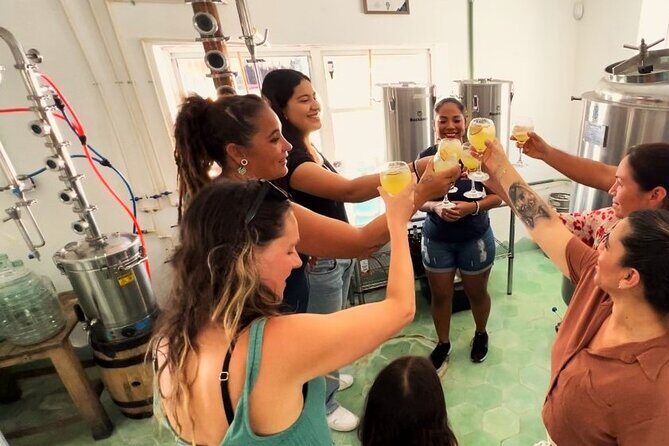 Rum and Gin at Cozumel First Distillery - The Sum Up