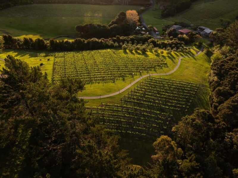 Russell: Paroa Bay Winery - Wine Tasting and Grazing - A Closer Look at the Experience