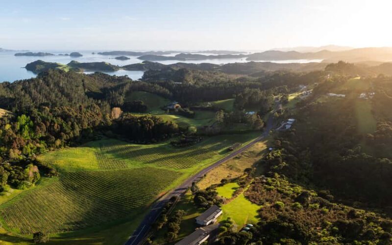 Russell: Paroa Bay Winery - Wine Tasting and Grazing - The Sum Up