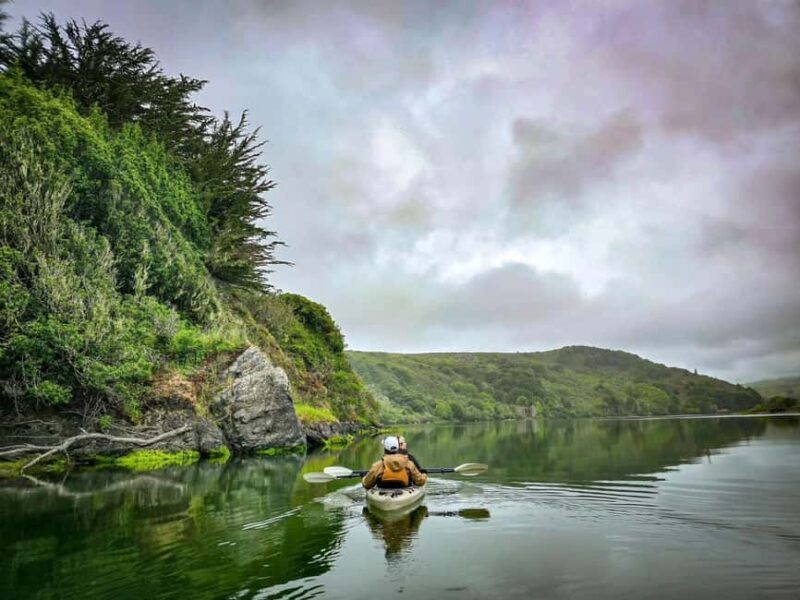 Russian River: Kayak Tour - The Allure of the Russian River Kayak Tour