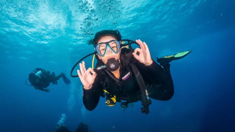 S. Tenerife: 2 Dives for Beginners (Beach + Boat Experience) - Key Points