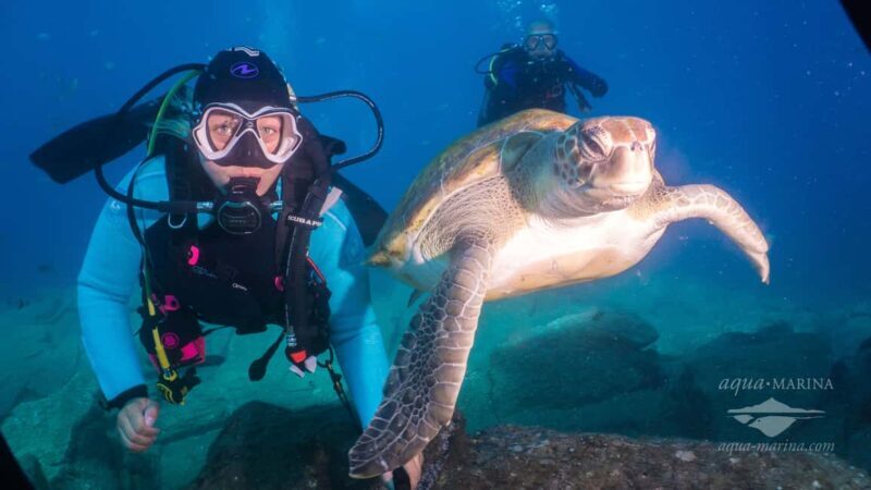 S. Tenerife: 2 Dives for Beginners (Beach + Boat Experience) - Practical Considerations