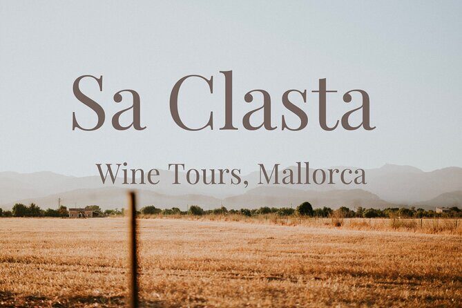 Sa Clasta Mallorca Wine Tours - Mallorca Wine Tour Review: Discovering the Charm of Mallorca’s Wineries with Sa Clasta