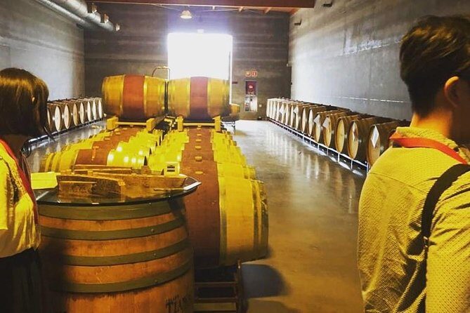 Sa Clasta Mallorca Wine Tours - The Sum Up