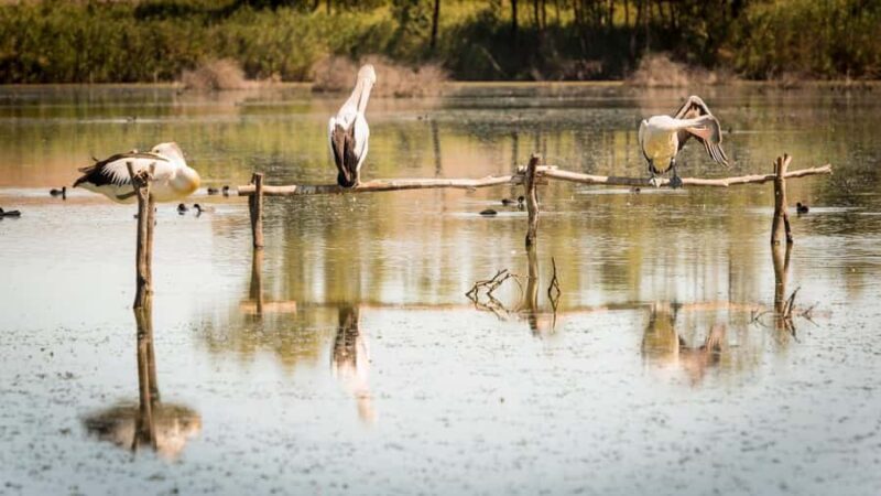 SA Riverland: 3-Day Murray River & National Parks Eco Tour - Who Should Consider This Tour?