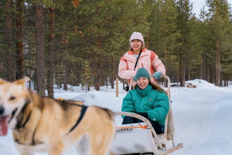 Saariselkä: 10KM Husky Safari with kennel visit - Key Points