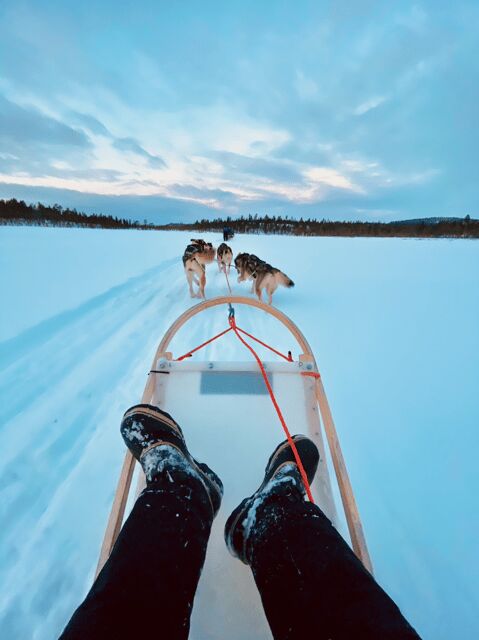 Saariselkä: 10KM Husky Safari with kennel visit - An Overview of the Husky Safari Experience