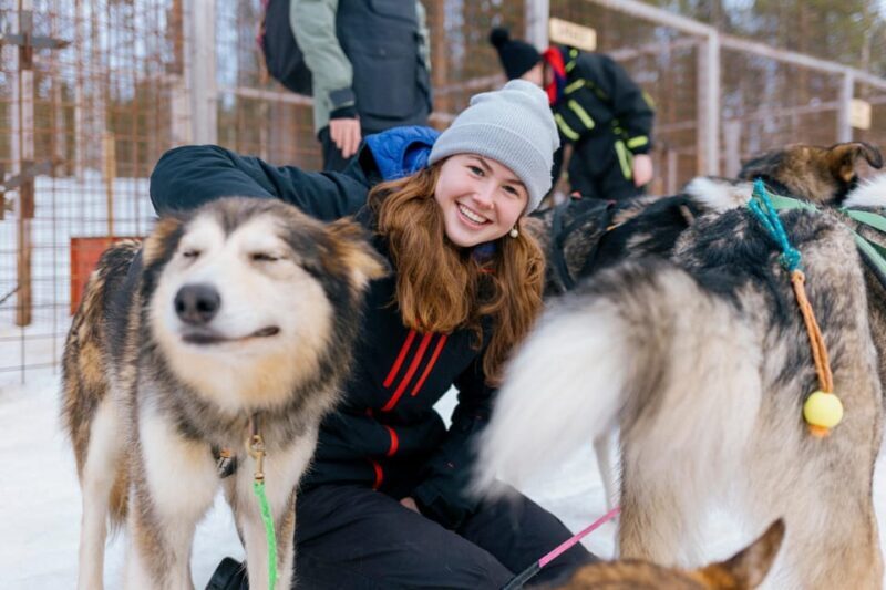 Saariselkä: 10KM Husky Safari with kennel visit - Who Should Consider This Tour?