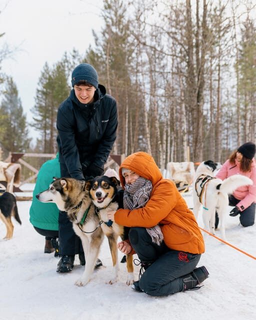 Saariselkä: 10KM Husky Safari with kennel visit - The Sum Up